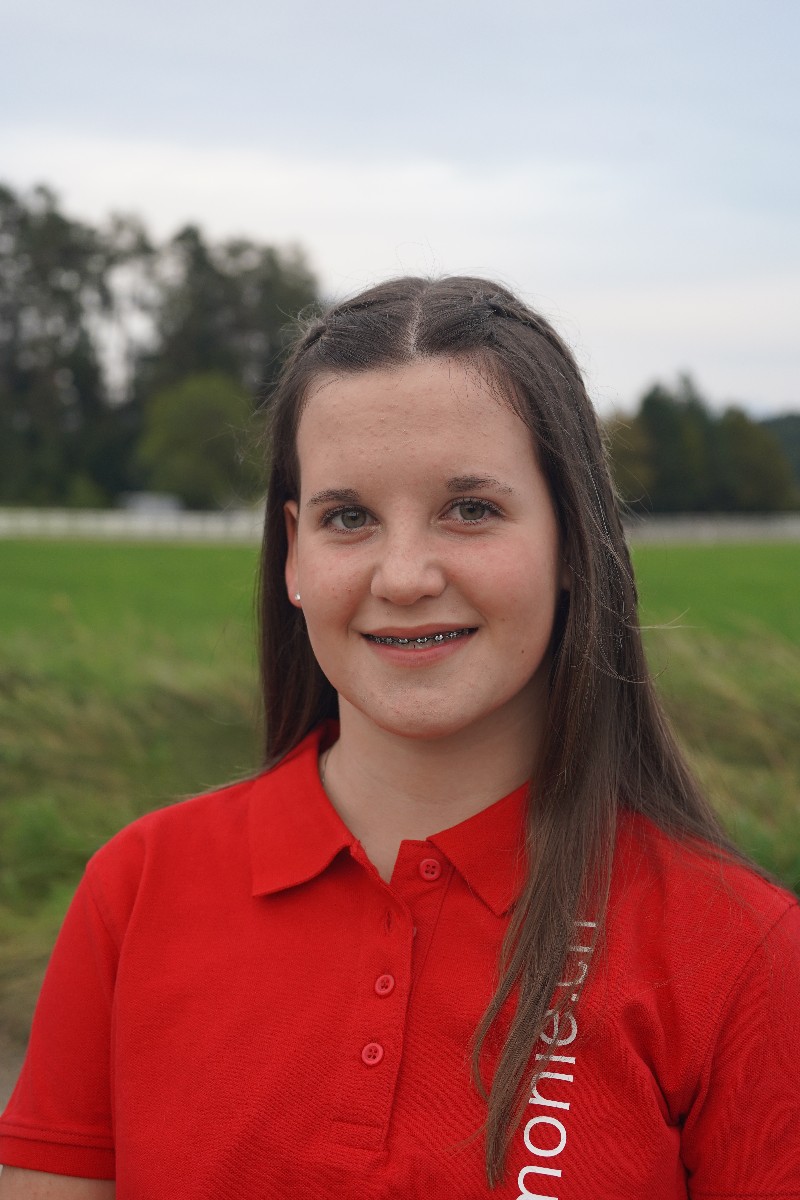 Über uns - blechharmonie.ch